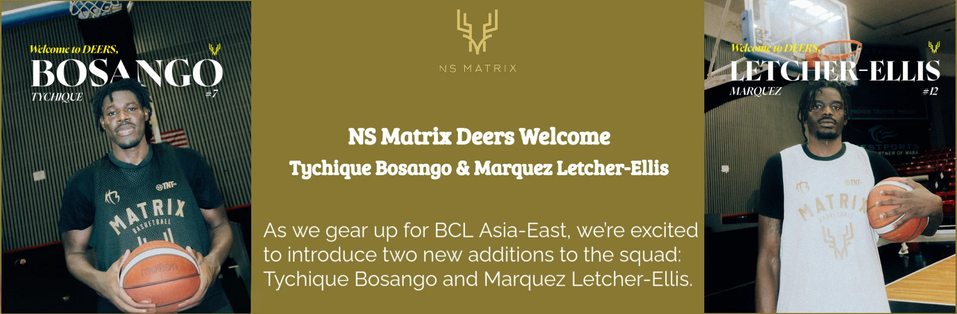 NS Matrix Deers