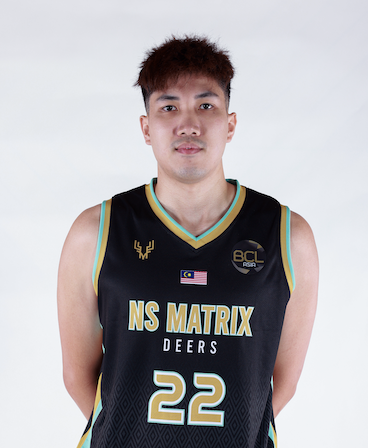 NS Matrix Deers